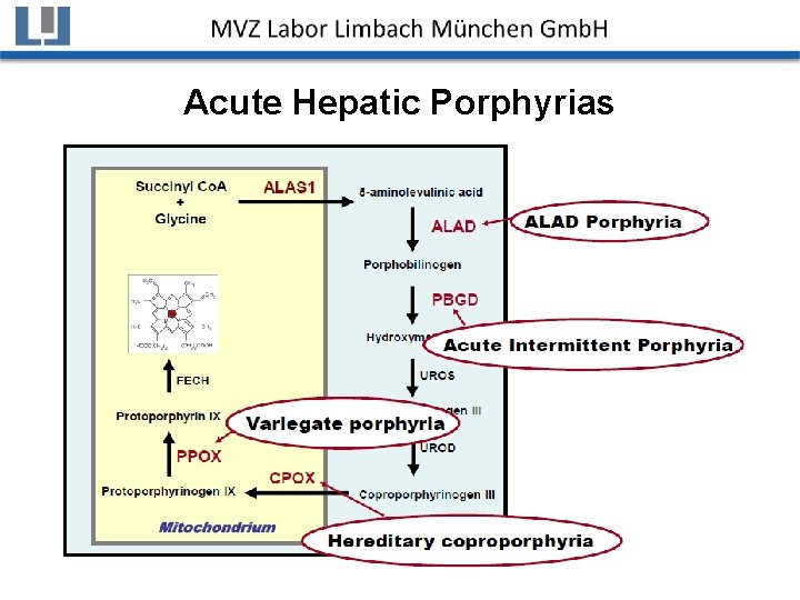 Disorders of heme biosynthesis clinical features and laboratory