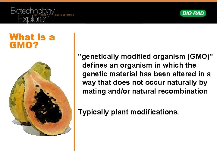 What is a GMO genetically modified organism GMO