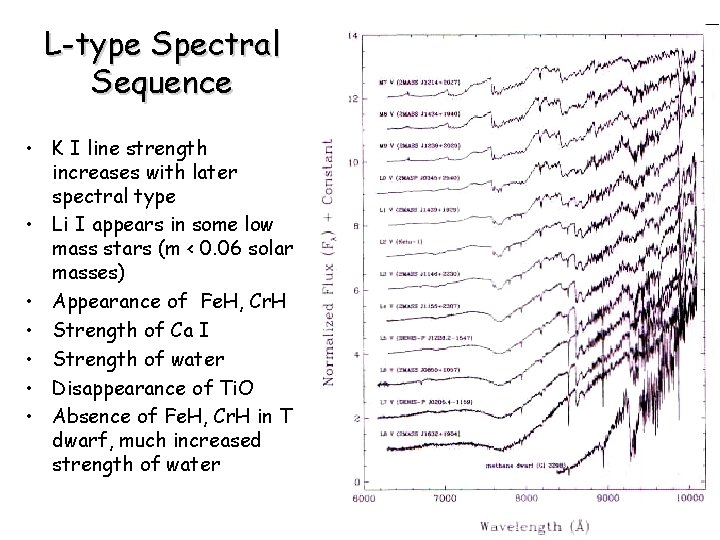 L and T Dwarfs Often Brilliant Astronomers Find