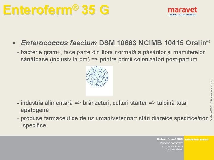 G Probiotic concentrat pentru stabilizarea florei intestinale la