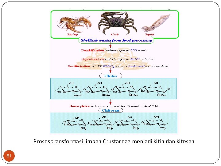 Pengetahuan Bahan dan Produk Agroindustri PROTEIN 1 Protein
