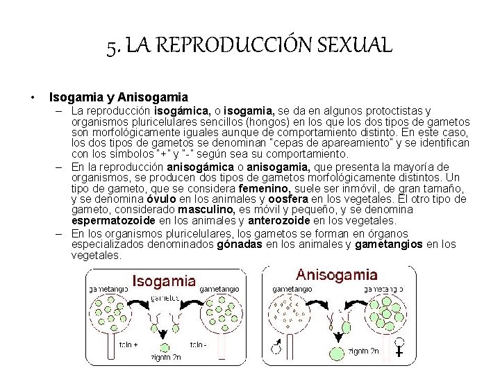 LA PERPETUACIN DE LA VIDA PEDRO GUTIRREZ GRAU