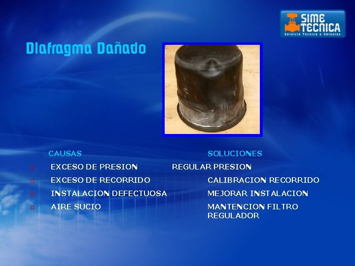 VALVULA CAMFLEX II FALLAS PRINCIPALES Vista de cuerpo