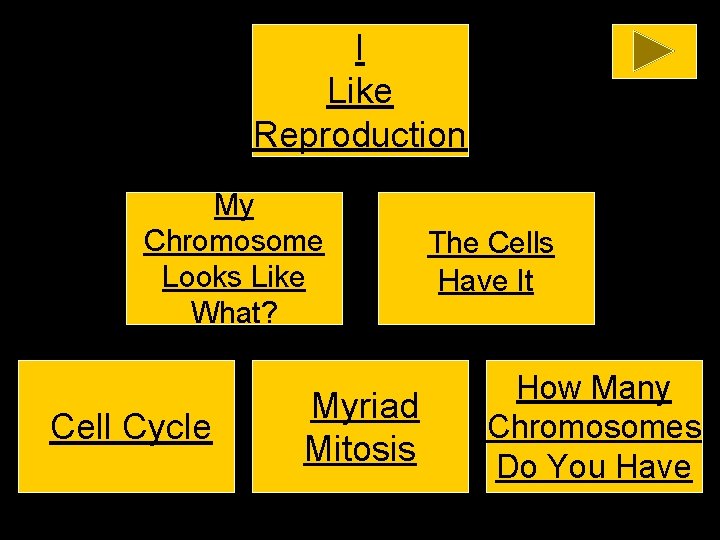 Cell Reproduction Pyramid I Like Reproduction My Chromosome