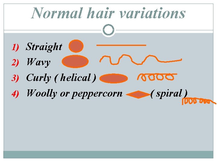 Hair shaft disorders GITI SADEGHIAN DERMATOLOGIST SKIN DISEASES