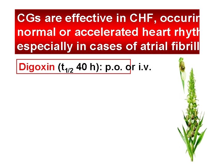 Heart Failure medication Types of Heart Failure Systolic