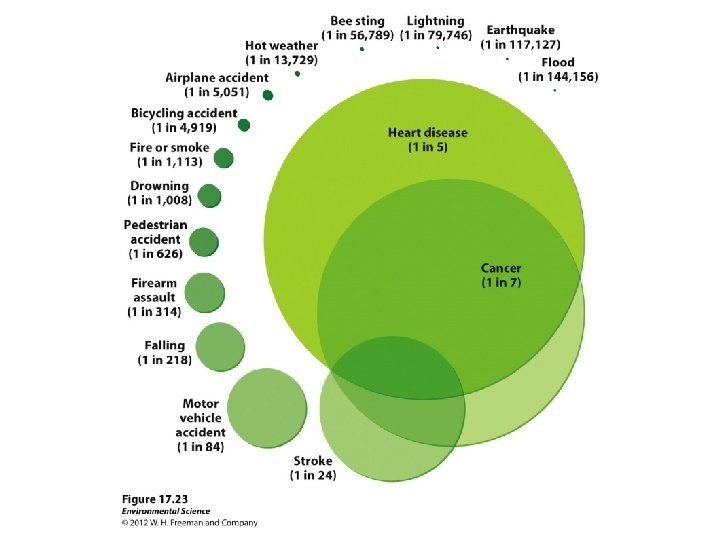 Chapter 17 Human Health and Environmental Risks Human