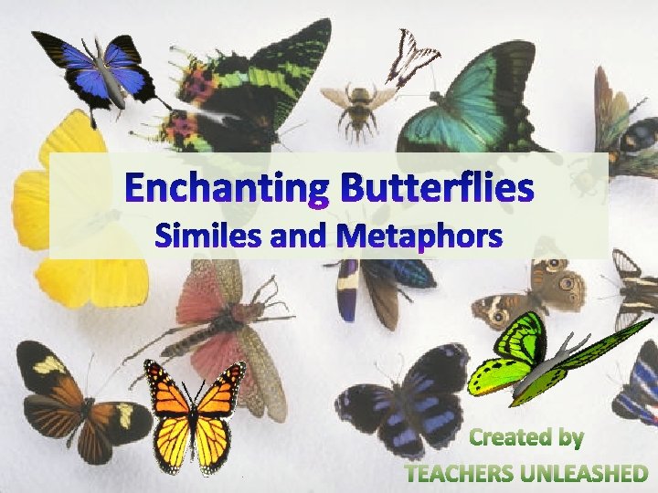 Enchanting Butterflies Similes and Metaphors Created by TEACHERS
