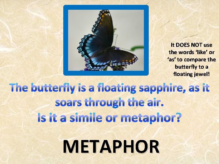 Enchanting Butterflies Similes and Metaphors Created by TEACHERS