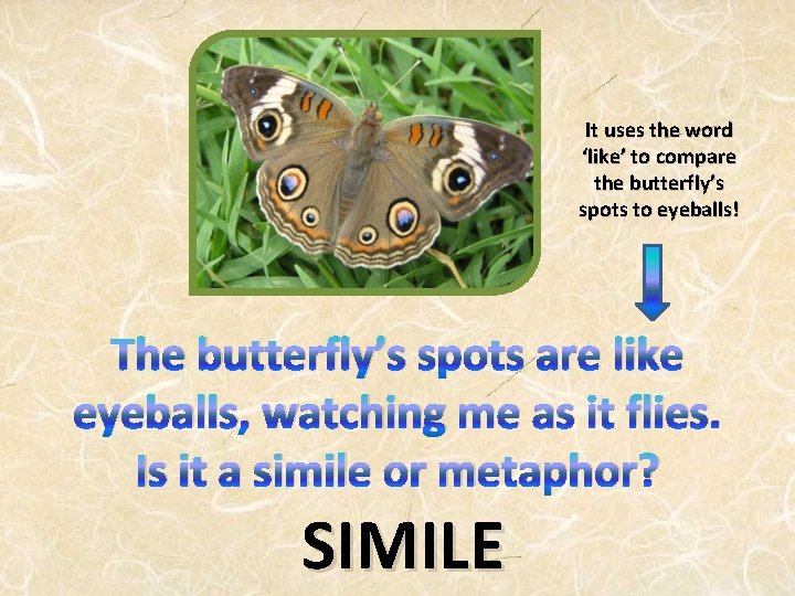 Enchanting Butterflies Similes and Metaphors Created by TEACHERS