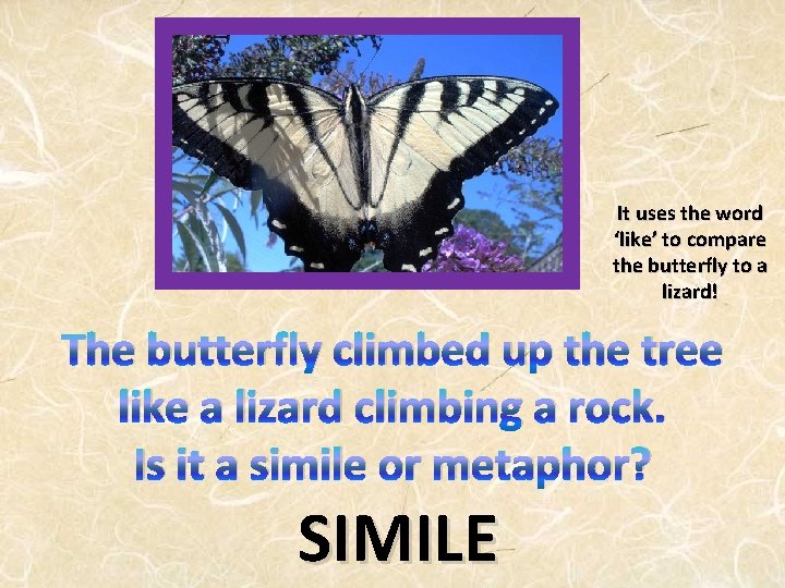 Enchanting Butterflies Similes and Metaphors Created by TEACHERS