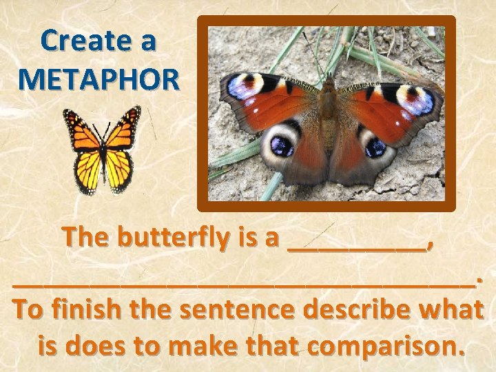 Enchanting Butterflies Similes and Metaphors Created by TEACHERS