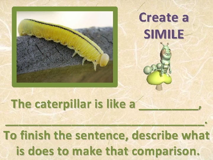 Enchanting Butterflies Similes and Metaphors Created by TEACHERS