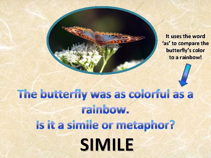 Enchanting Butterflies Similes and Metaphors Created by TEACHERS