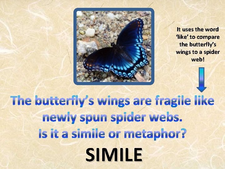 Enchanting Butterflies Similes and Metaphors Created by TEACHERS
