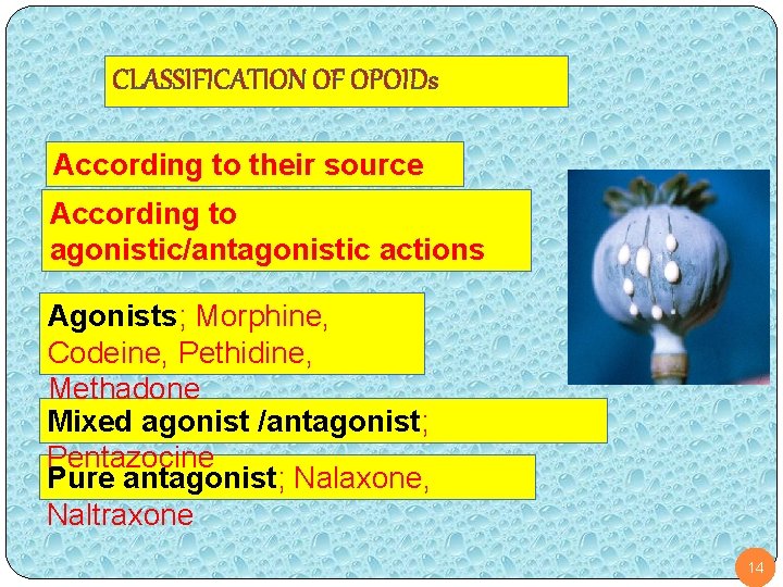Drugs Used In Management Of Pain Dr Aliah
