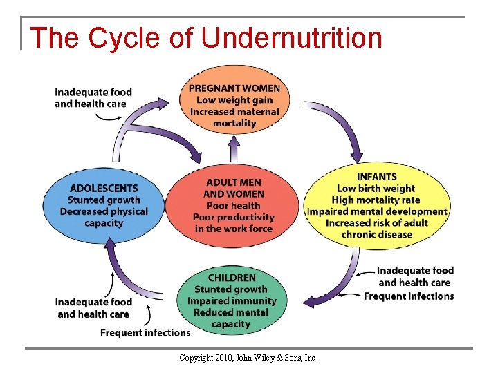 Chapter 18 World Hunger and Malnutrition Two Faces