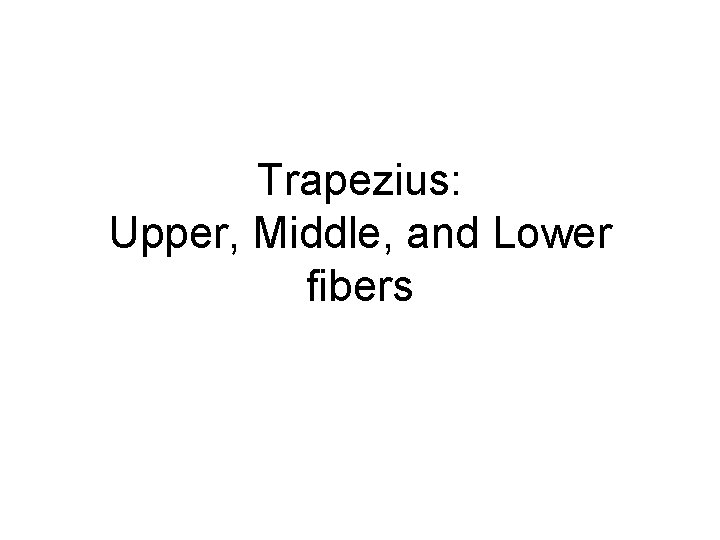 Trapezius Upper Middle and Lower fibers AxioScapular AxioClavicular