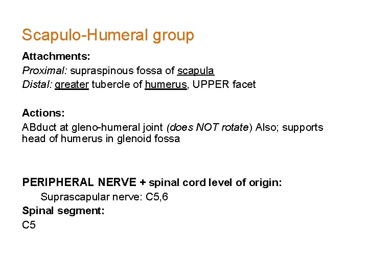 Trapezius Upper Middle and Lower fibers AxioScapular AxioClavicular