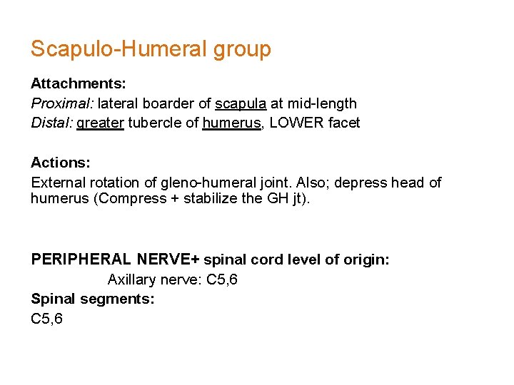 Trapezius Upper Middle and Lower fibers AxioScapular AxioClavicular