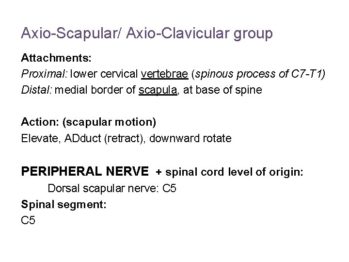 Trapezius Upper Middle and Lower fibers AxioScapular AxioClavicular