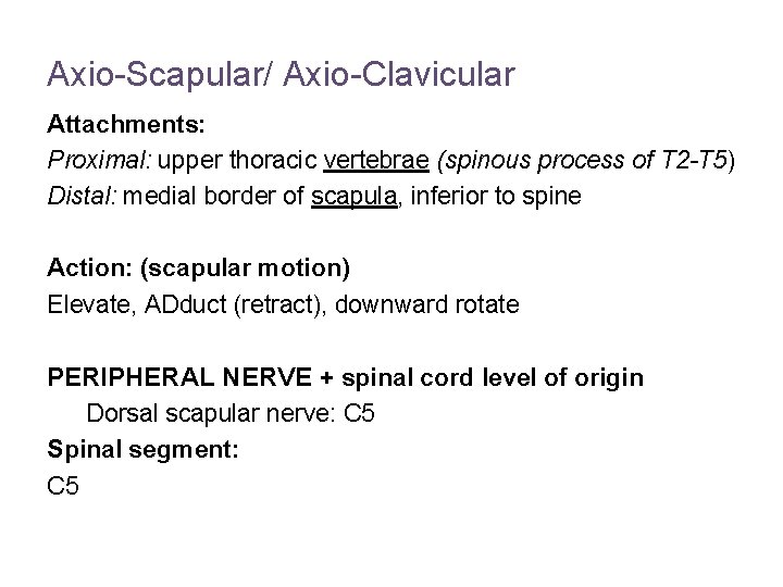 Trapezius Upper Middle and Lower fibers AxioScapular AxioClavicular