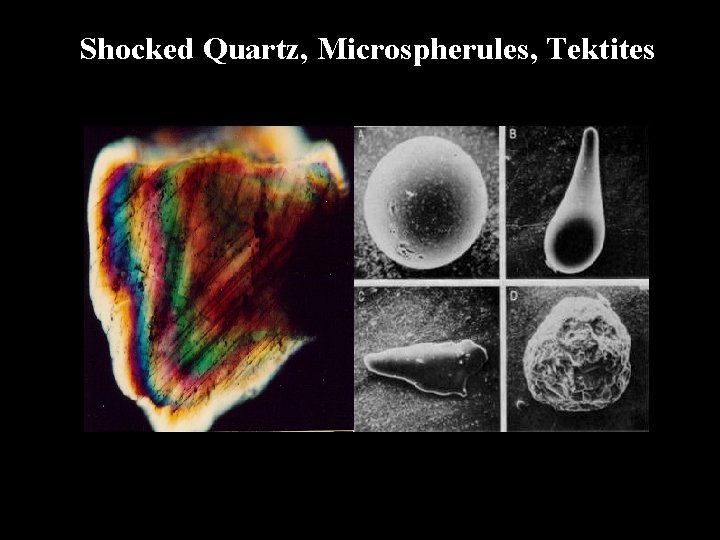 Evidence for Impact Generated Mass Extinctions The Cratering