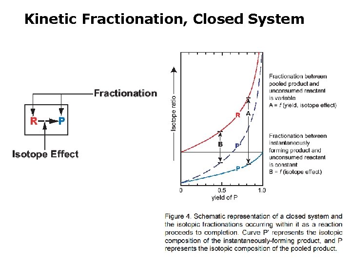Introduction to Stable Isotopes Notation Fractionation Gear Definitions