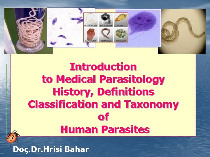 Introduction to Medical Parasitology History Definitions Classification and