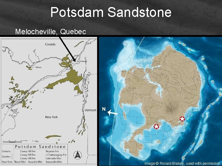 A WINDOW INTO THE CAMBRIAN EXCEPTIONALLY PRESERVED ARTHROPODS