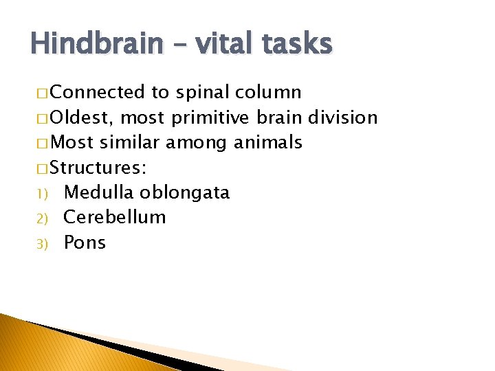 Nervous System Identify Principle Parts of the Brain