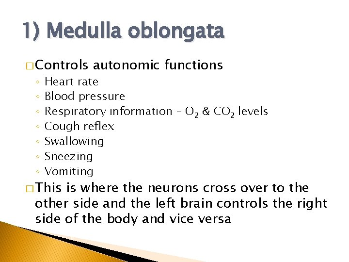 Nervous System Identify Principle Parts of the Brain