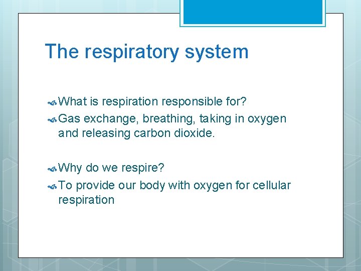 PP 5 Gas Exchange The Respiratory System The