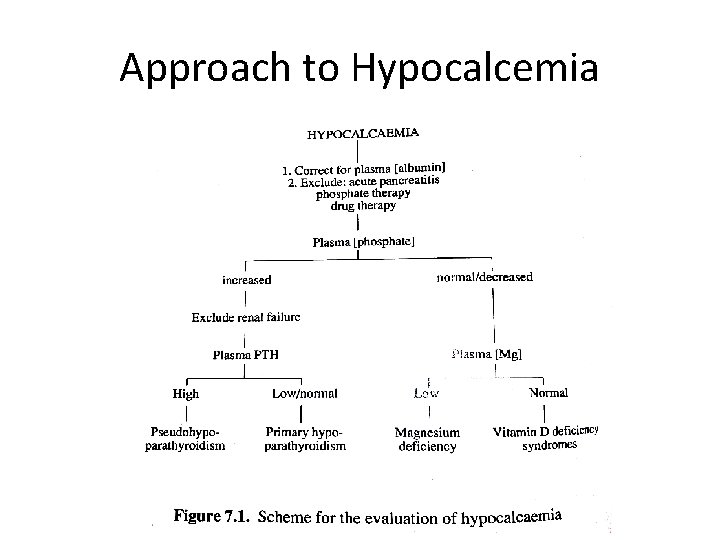 HYPOCALCEMIA MBBS 2011 BATCH 060814 CALCIUM Total body