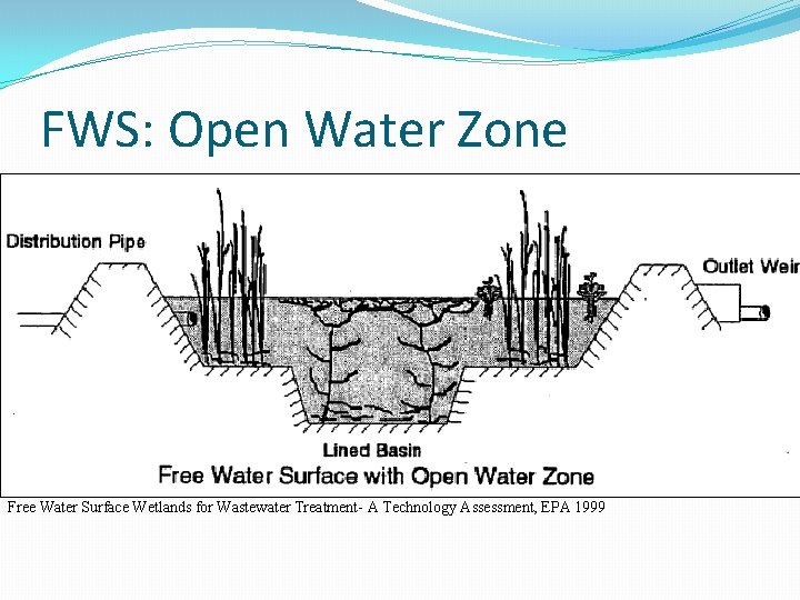 Free Water Surface Wetlands Patrick Brice 12042012 Types