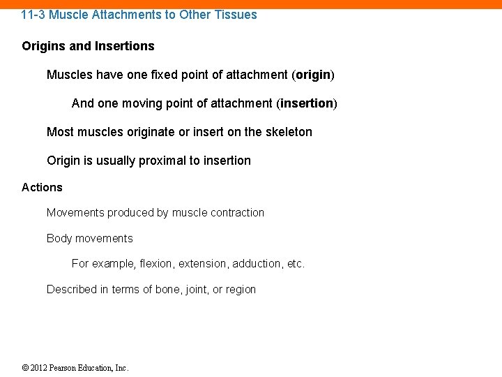 BIOL 2401 FUNDAMENTALS OF ANATOMY AND PHYSIOLOGY Mrs