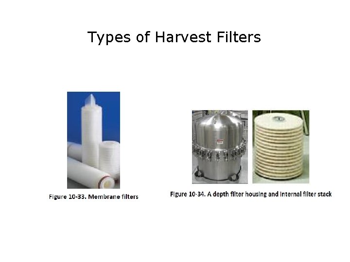 Protein is CAH Biotechnology the use of living