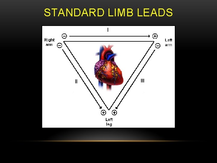 ECG BASICS Dr Taj OUTLINE 1 Review of