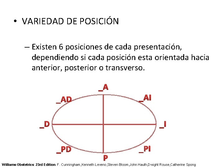 ATENCION DE TRABAJO DE PARTO DEFINICIN Periodo que