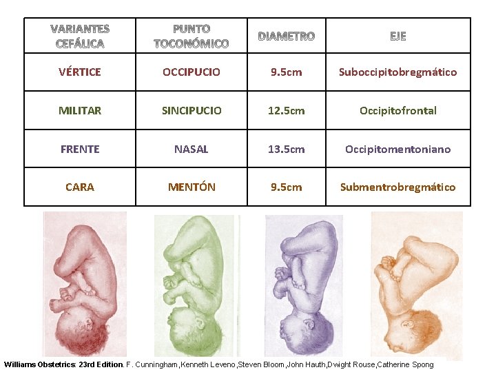 ATENCION DE TRABAJO DE PARTO DEFINICIN Periodo que