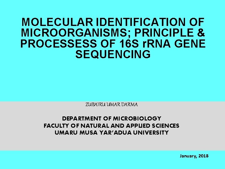MOLECULAR IDENTIFICATION OF MICROORGANISMS PRINCIPLE PROCESSESS OF 16