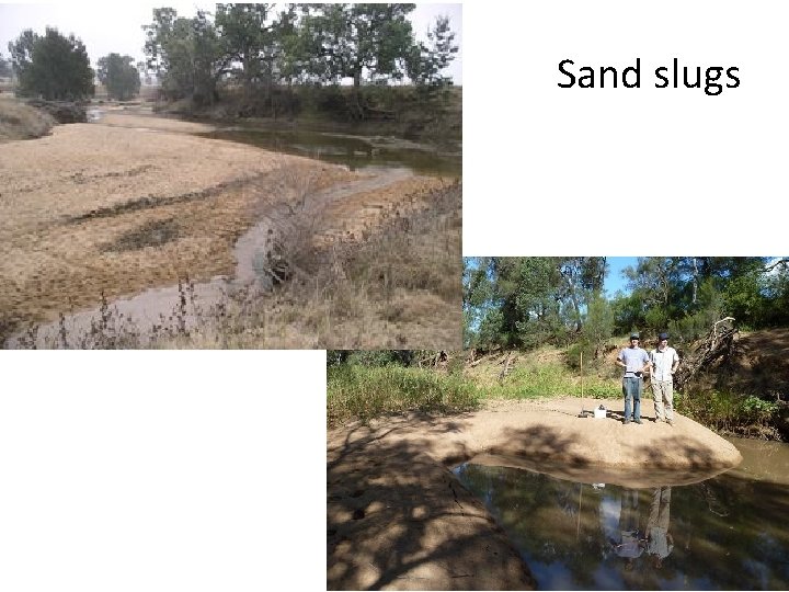 Balancing water use for food and the environment