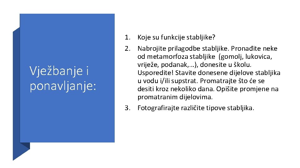 VEGETATIVNI KORIJEN STABLJIKA LIST BILJNI ORGANI GENERATIVNI CVIJET