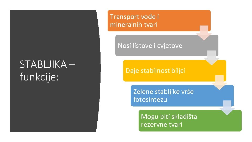 VEGETATIVNI KORIJEN STABLJIKA LIST BILJNI ORGANI GENERATIVNI CVIJET