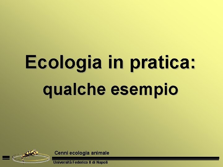 ZOOLOGIA APPLICATA CENNI DI ECOLOGIA ANIMALE Prof Biagio