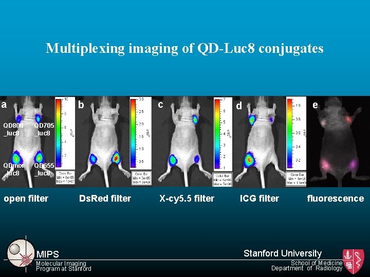 MIPS Molecular Imaging Program at Stanford Jianghong Rao