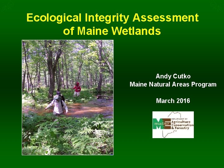 Ecological Integrity Assessment of Maine Wetlands Andy Cutko