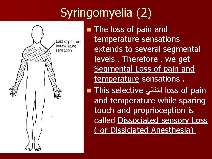 Handout of Sensory Lesions Dr Taha Sadig ahmed