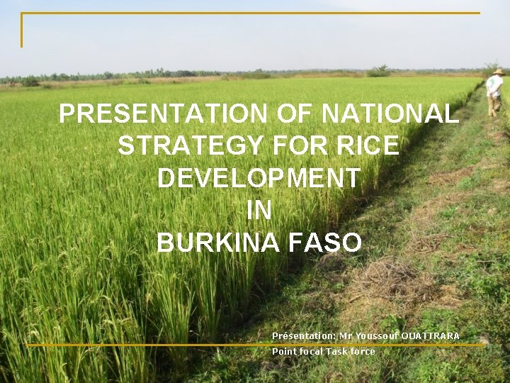 PRESENTATION OF NATIONAL STRATEGY FOR RICE DEVELOPMENT IN