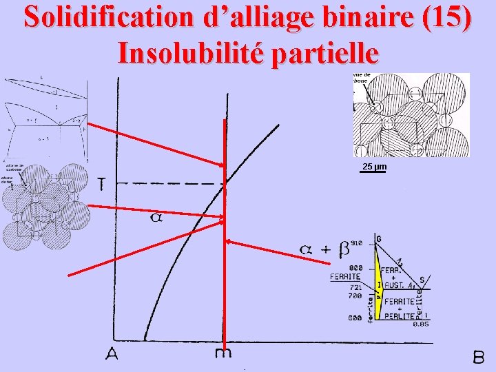 Chapitre 13 Diagrammes binaires Plan du chapitre Solidification